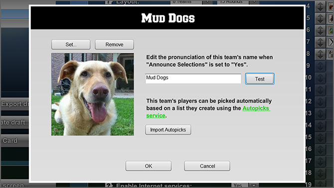 The PrimeTime Draft Experience | Fantasy Football Draft Board Software ...